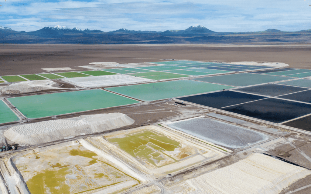 Terrascope | Join Terrascope!